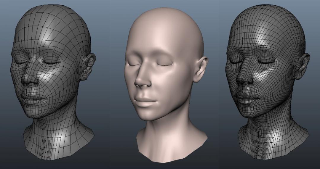 Human Body Topology: How to Model a Human