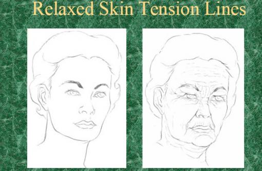 Human Body Topology: How to Model a Human